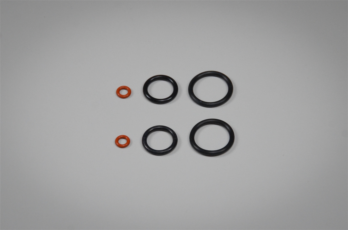 NPT Seal Kit for 27 and 42 gal - Blichmann Engineering